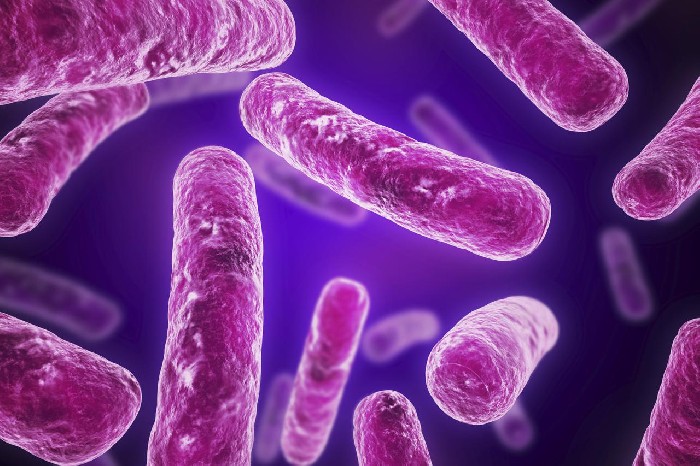 Bolesti - Ema Baljak i Nikolina :: Biologija 8.b 2023